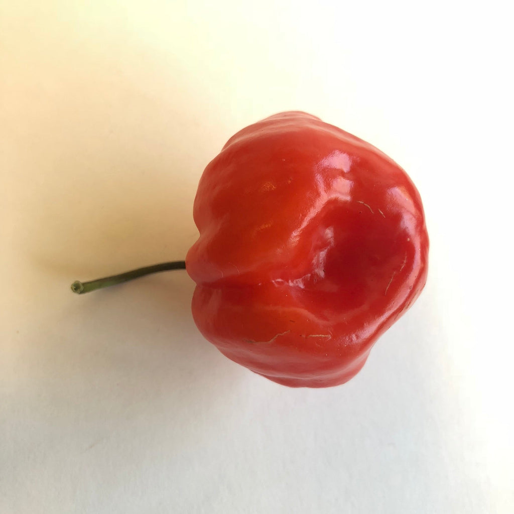 Habanero Caribbean Red - Seeds – Shortcake Farms "The Seed Vault"