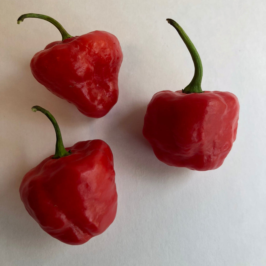 Aji Cachucha - Seeds – Shortcake Farms "The Seed Vault"