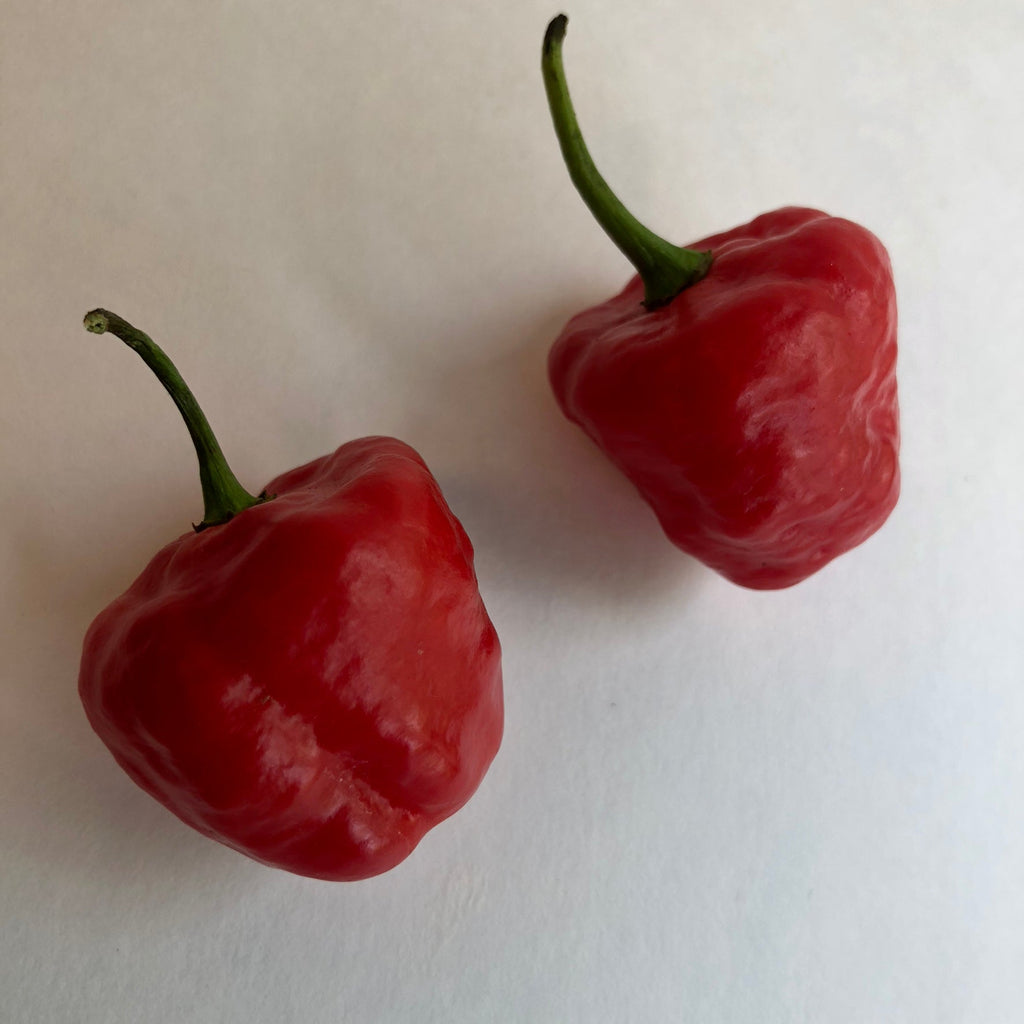 Aji Cachucha - Seeds – Shortcake Farms "The Seed Vault"