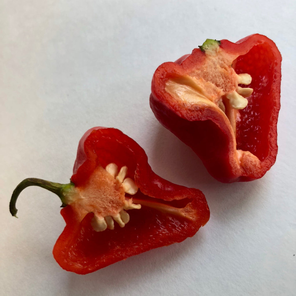 Aji Cachucha - Seeds – Shortcake Farms "The Seed Vault"