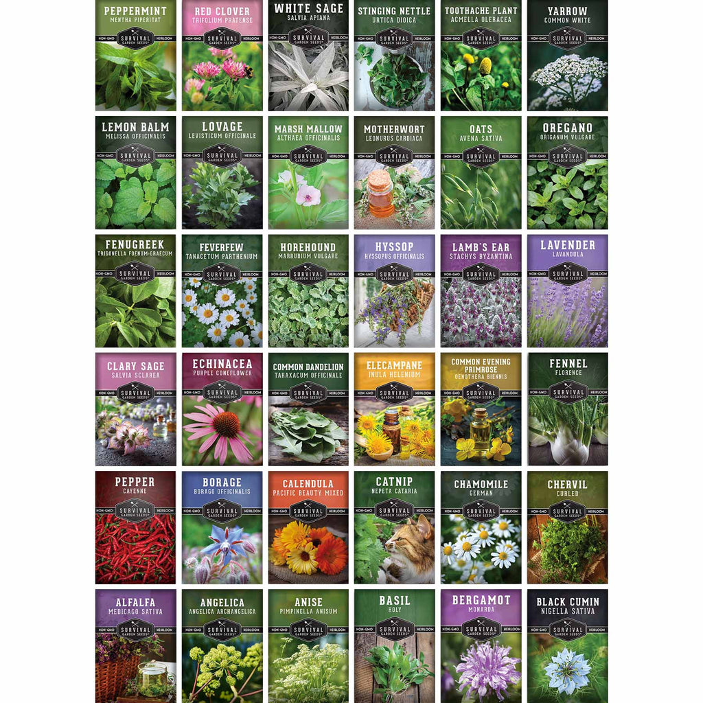 Medicinal Herb Garden - 36 Heirloom Seed Varieties for a Wellness Gard ...