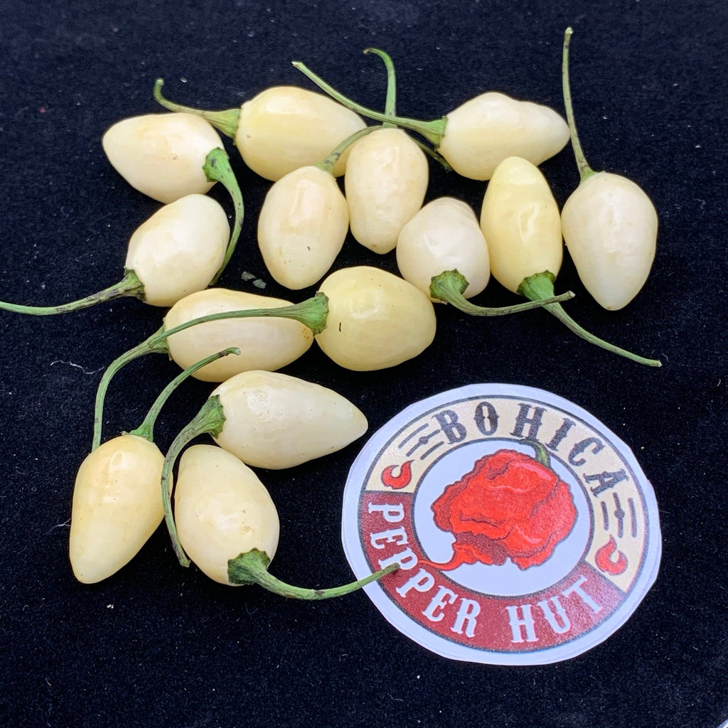 Habanero Yucatan White - Seeds – Shortcake Farms "The Seed Vault"