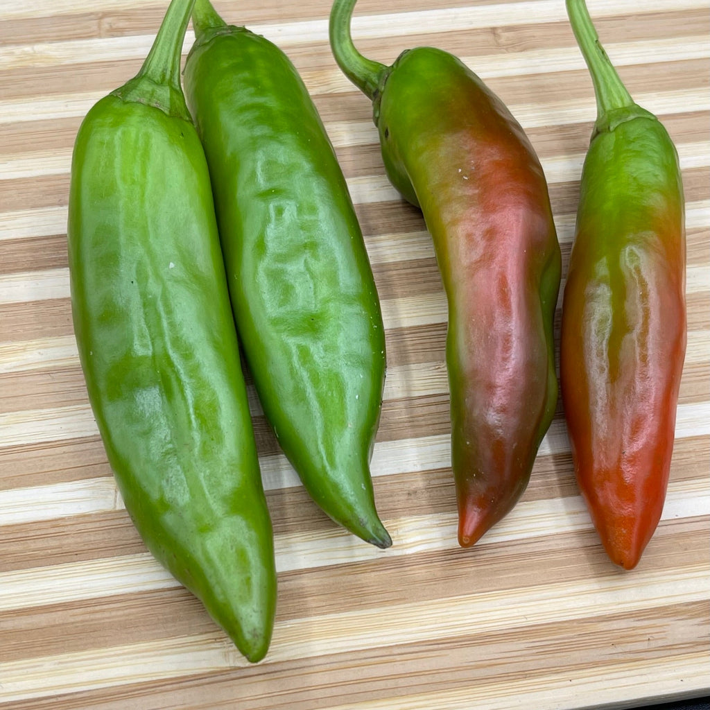 Hatch Red X Hot - Ms. Junie Chile - Seeds – Shortcake Farms "The Seed ...