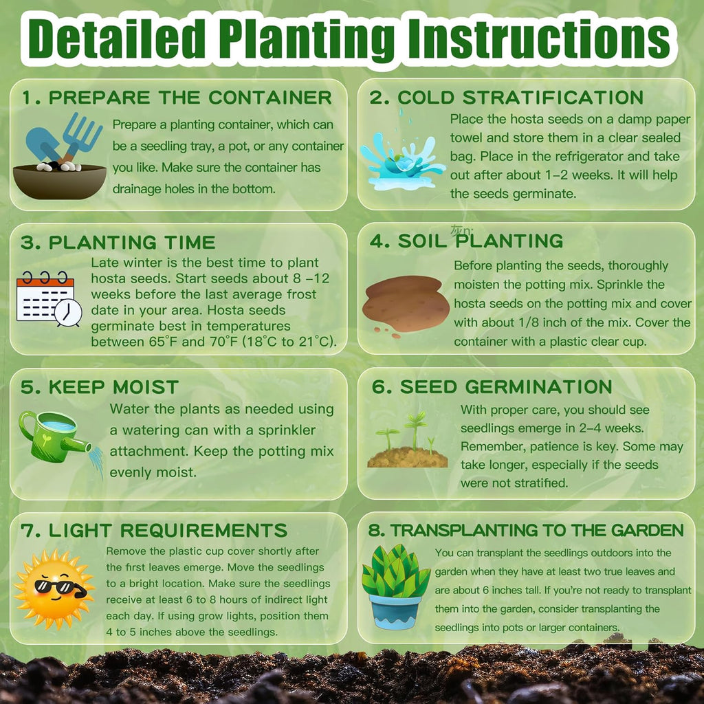 Rare Blue And Purple Hosta Seeds, Easy to Grow Perennial Shade Garden ...