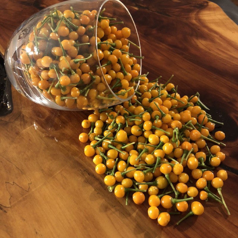 Aji - Pepper Seeds Combo Pack (7 Varieties) - Seeds – Shortcake Farms ...