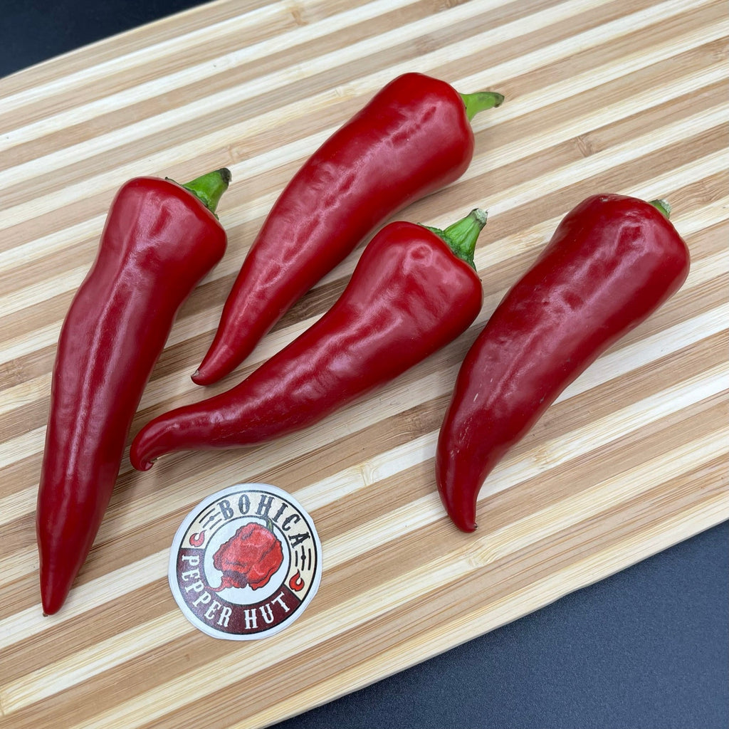 Fresno Chile - Seeds – Shortcake Farms "The Seed Vault"