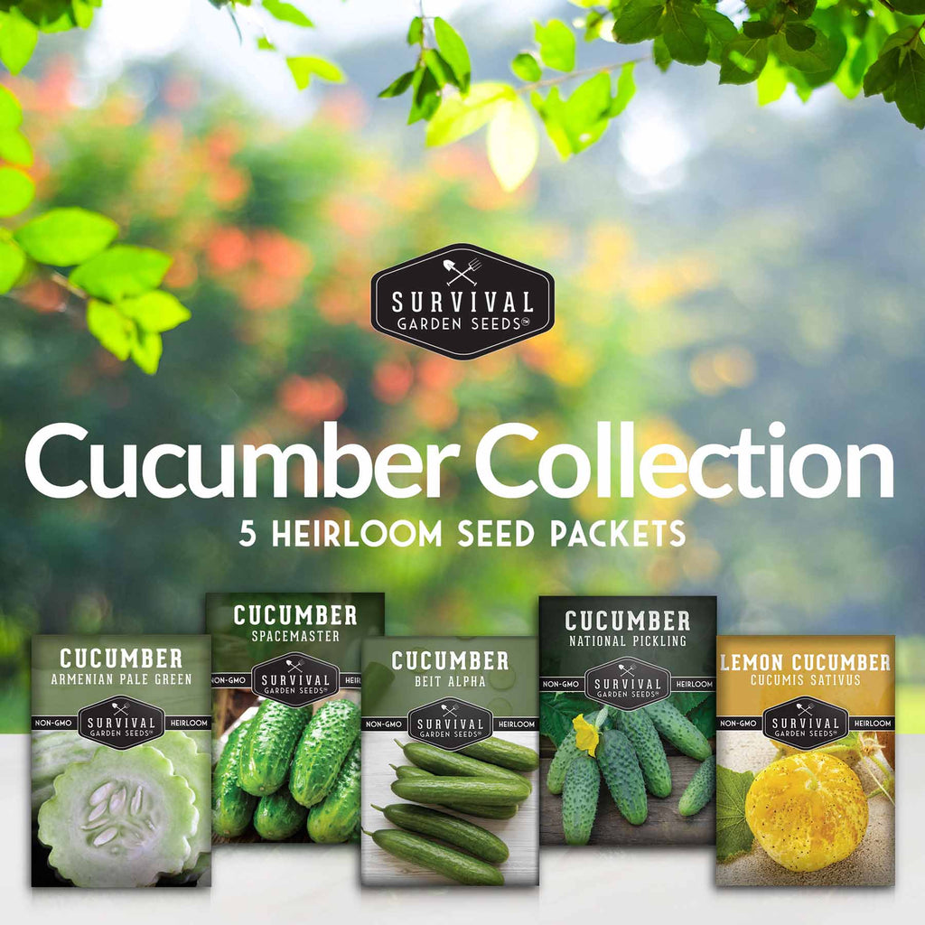 Cucumber Seed Collection – Armenian, Beit Alpha, Lemon, National Pickl ...