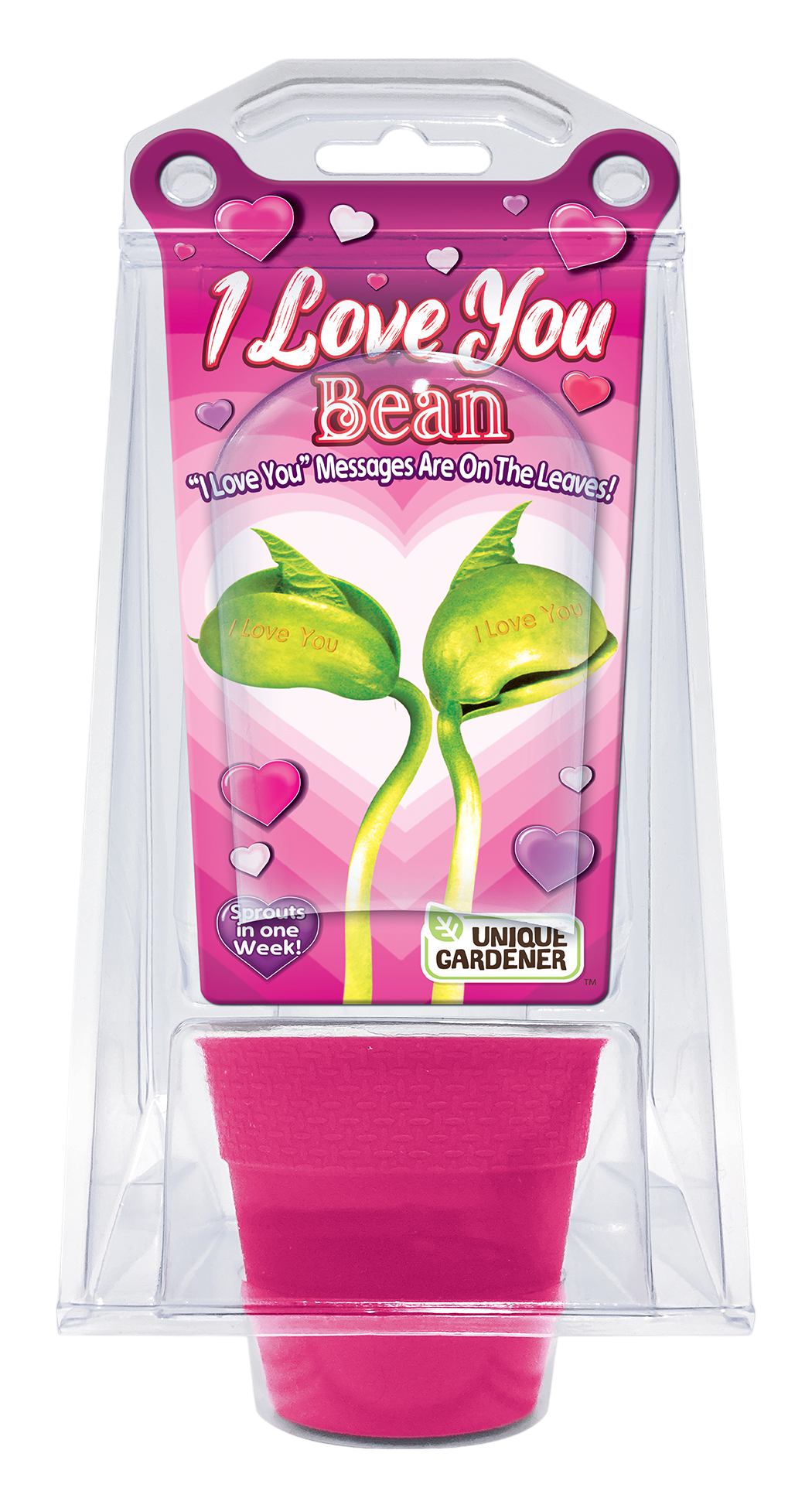 "I Love You" Bean Terrarium – Shortcake Farms