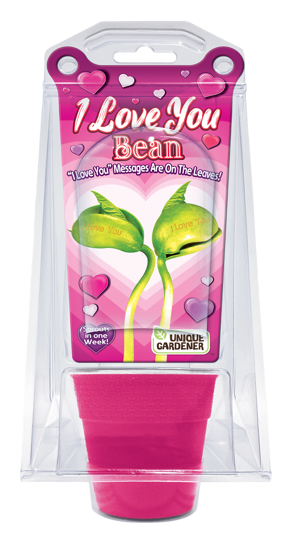 "I Love You" Bean Terrarium – Shortcake Farms