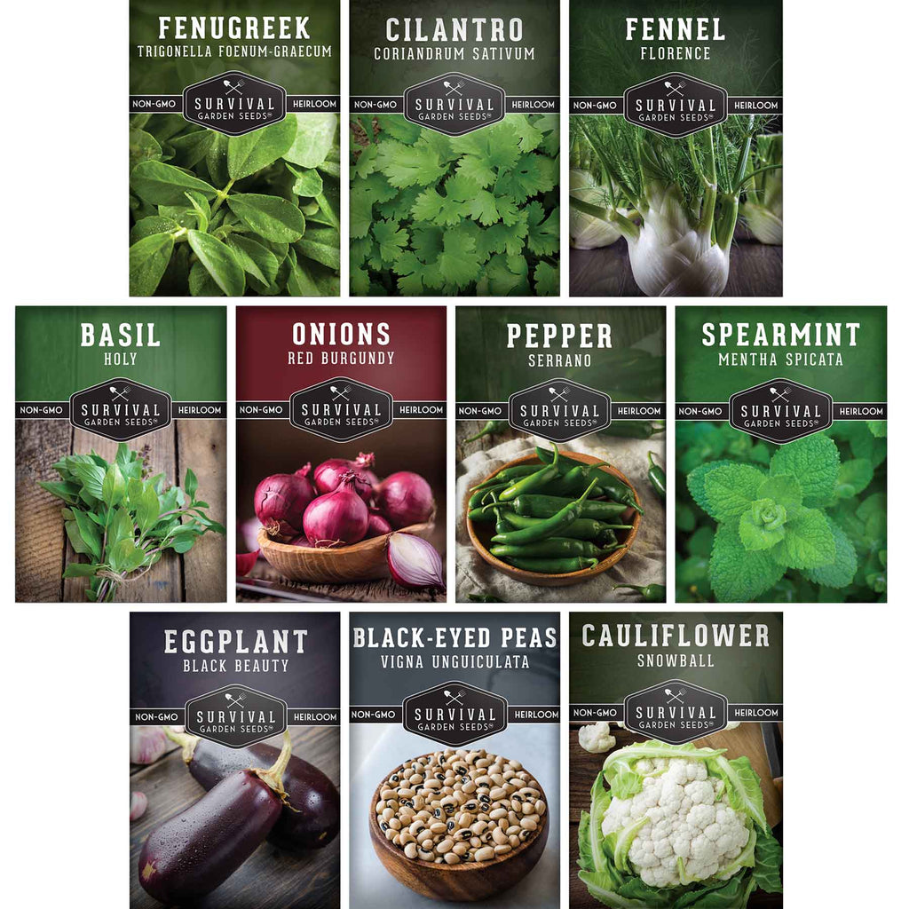 Indian Vegetable Seed Collection – 10 Heirloom Non-GMO Seeds for Authe ...