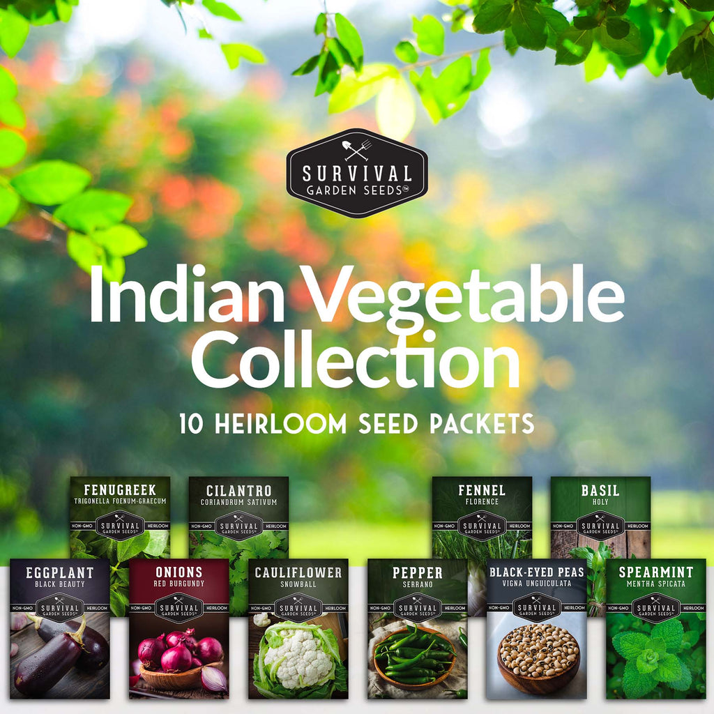 Indian Vegetable Seed Collection – 10 Heirloom Non-GMO Seeds for Authe ...