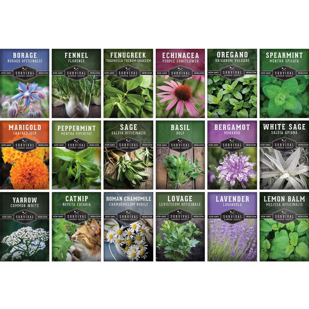 Medicinal Herb Seeds Collection – 18 Heirloom Non-GMO Herbs for Wellne ...
