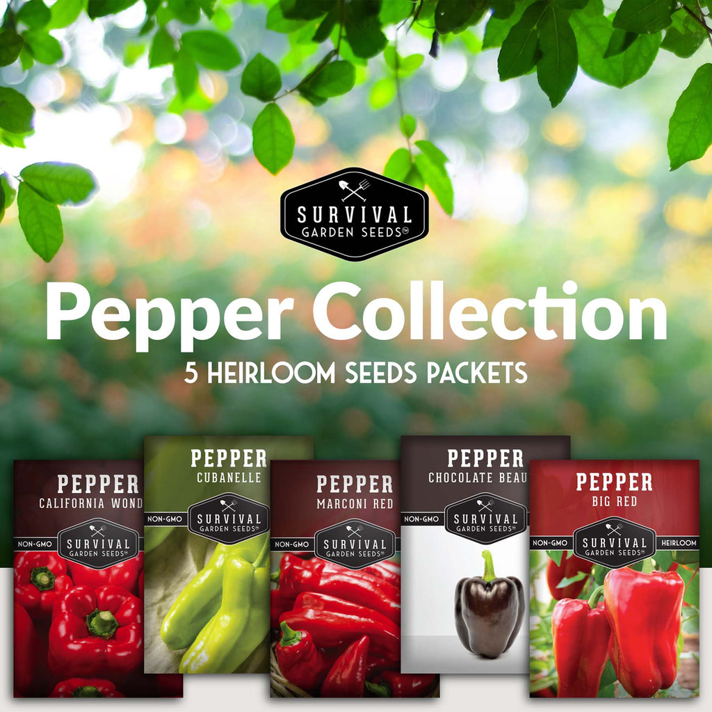 Sweet Pepper Collection - California Wonder Bell, Marconi Red, Cubanel ...