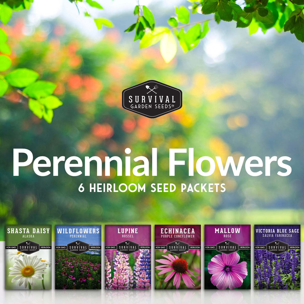 Perennial Flower Seed Collection – Non-GMO Heirloom Blooms for Pollina ...