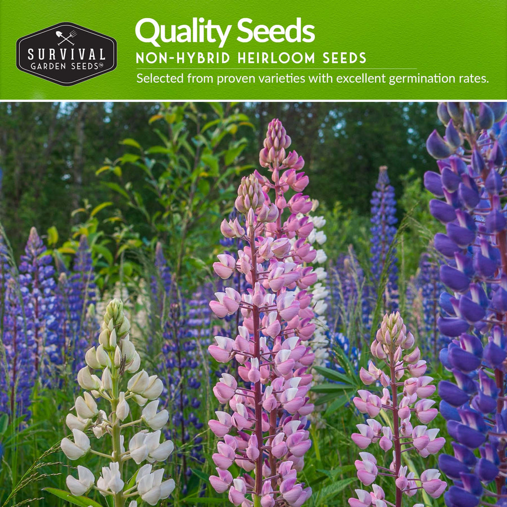 Perennial Flower Seed Collection – Non-GMO Heirloom Blooms for Pollina ...