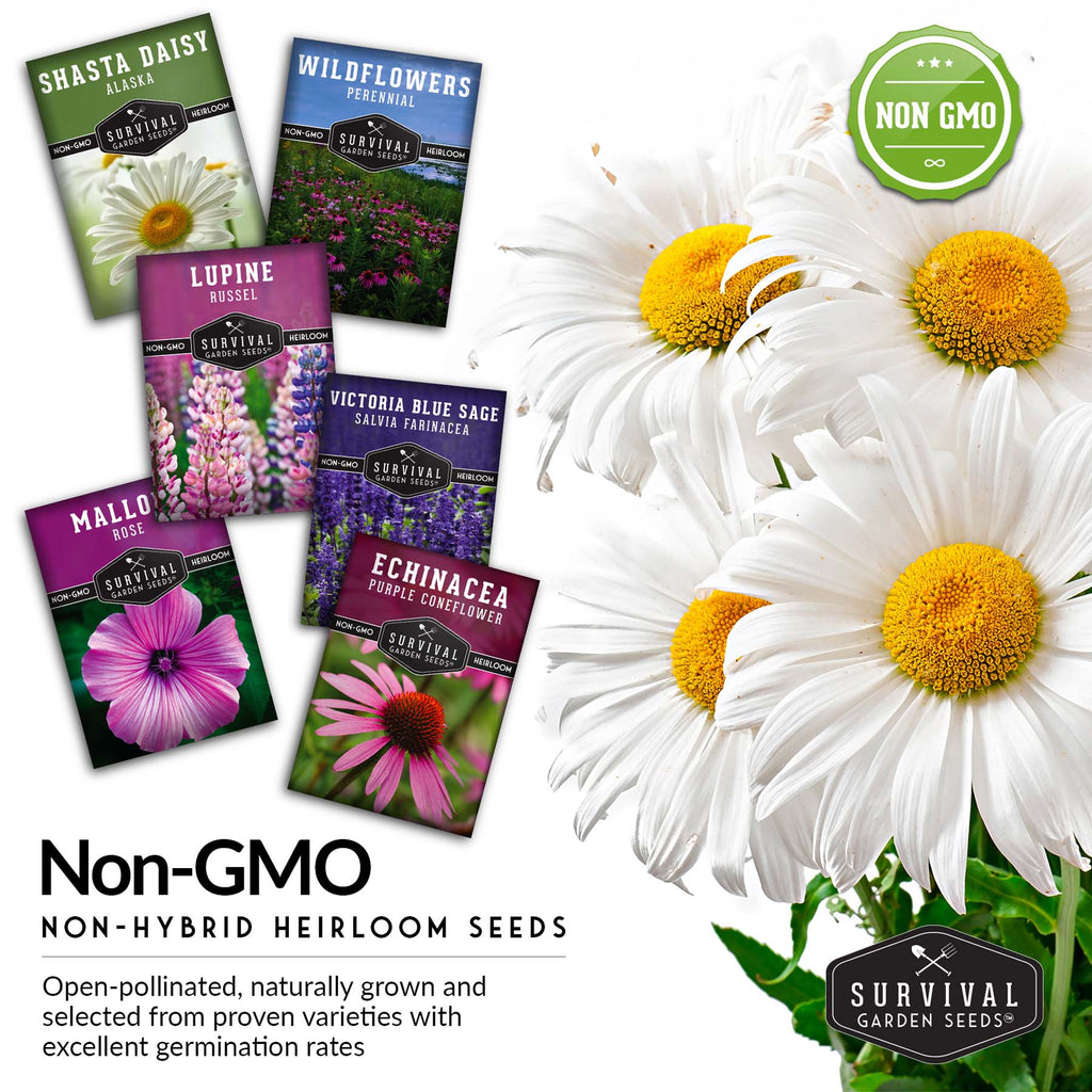Perennial Flower Seed Collection – Non-GMO Heirloom Blooms for Pollina ...