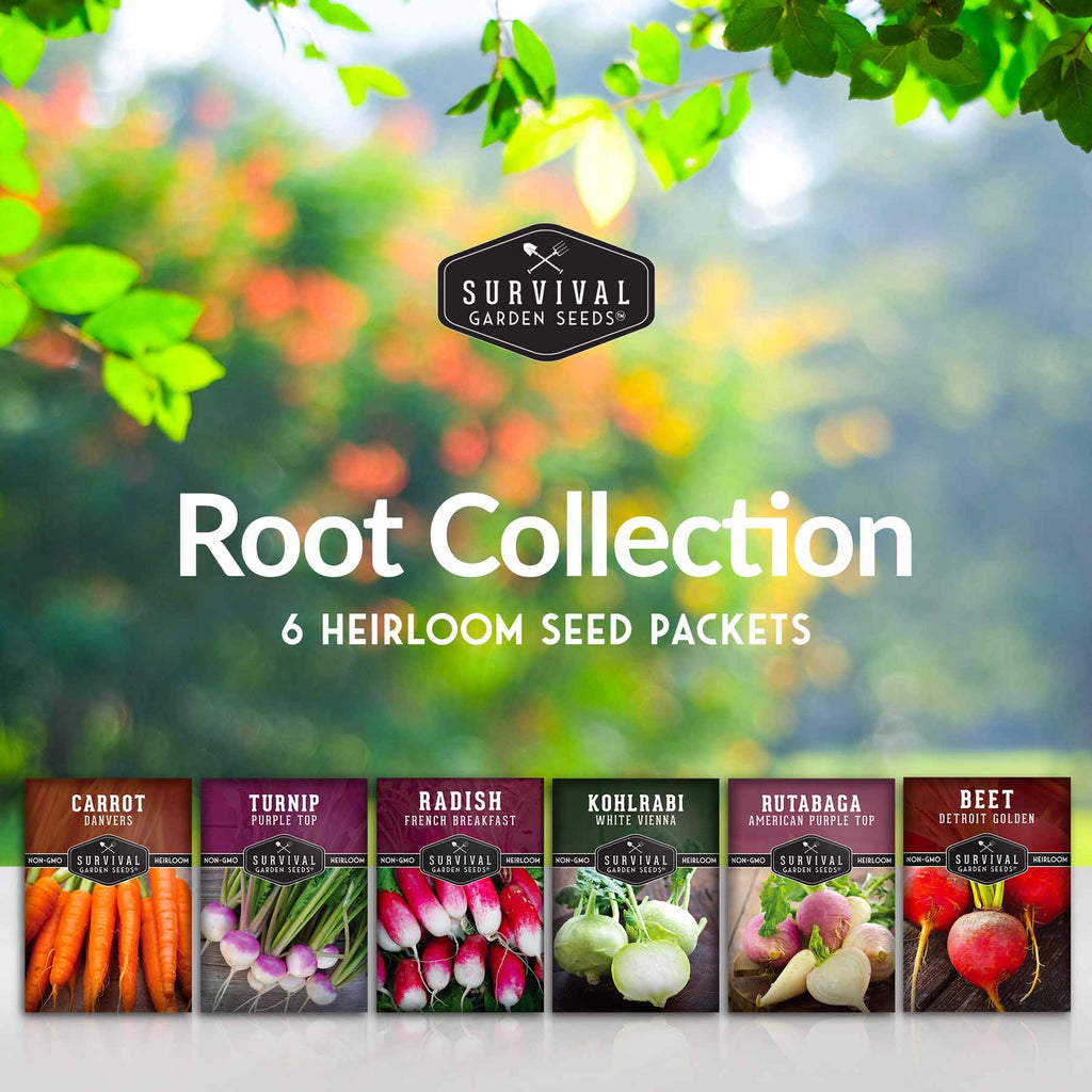 Root Vegetable Seed Collection – Cool-Season Carrots, Turnips, Radishe ...