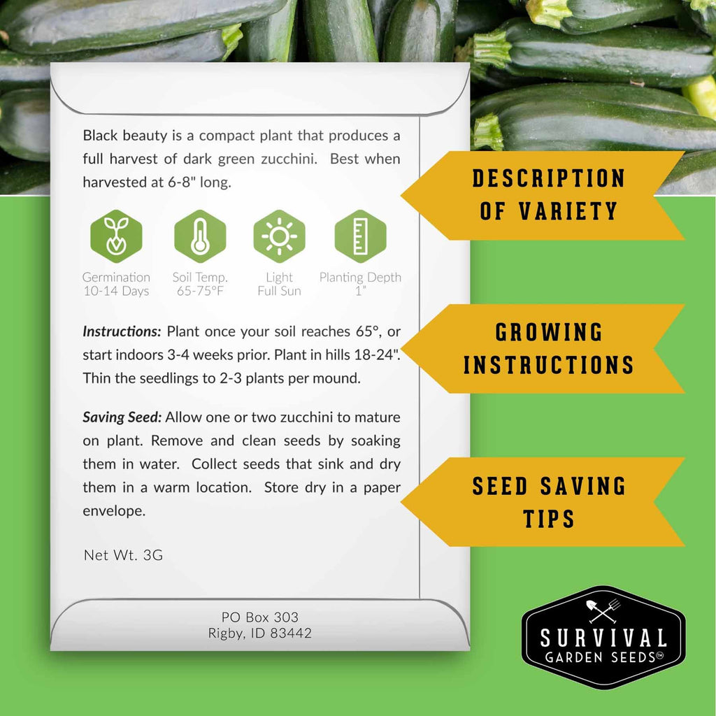 Zucchini & Summer Squash Seed Collection – Black Beauty, Round, Golden ...
