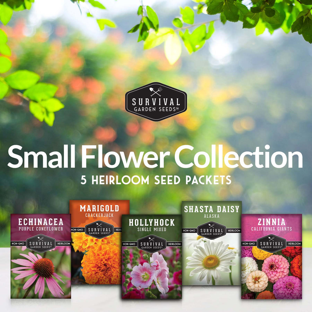 5-Variety Heirloom Flower Seed Collection – Non-GMO Annual & Perennial ...