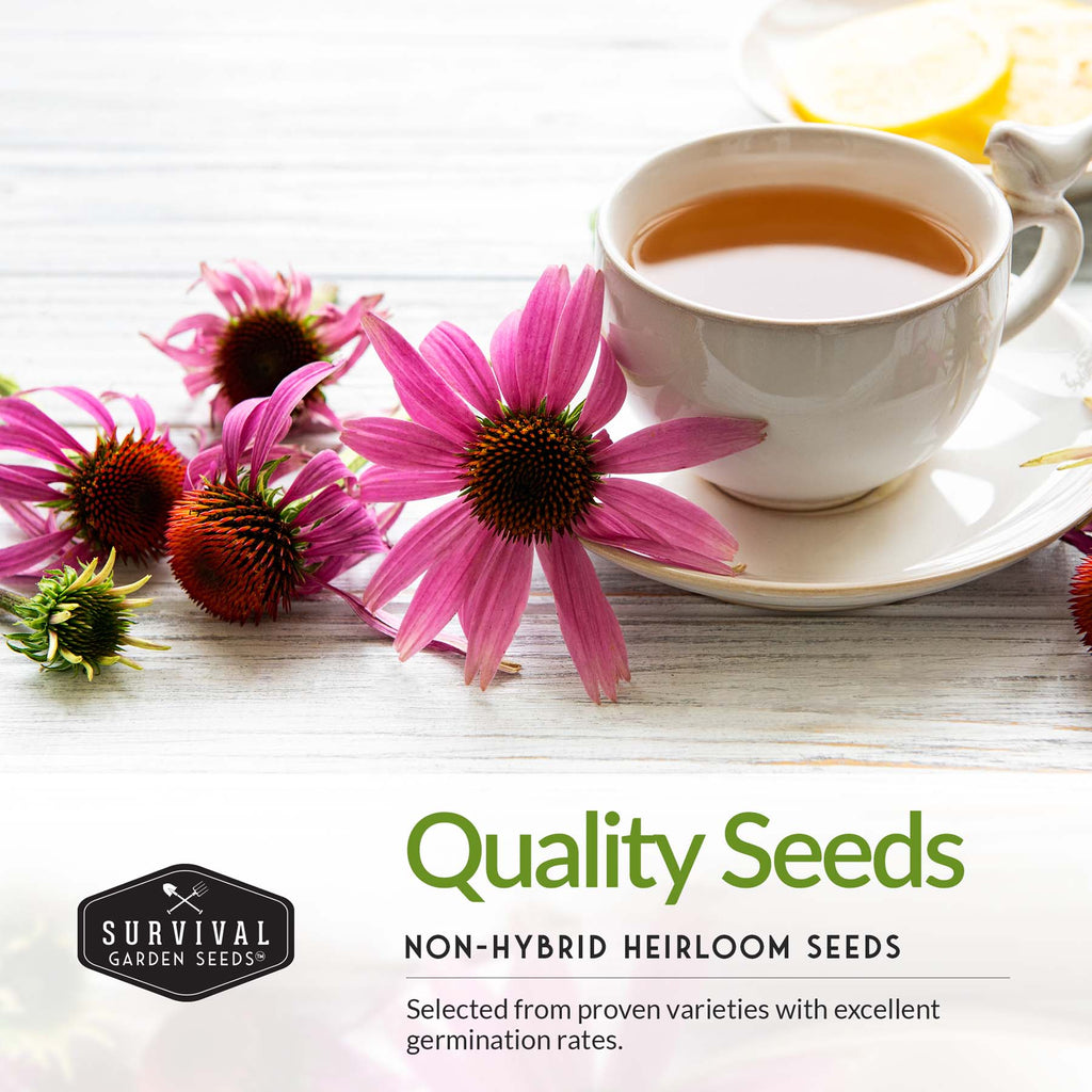 5-Variety Heirloom Flower Seed Collection – Non-GMO Annual & Perennial ...