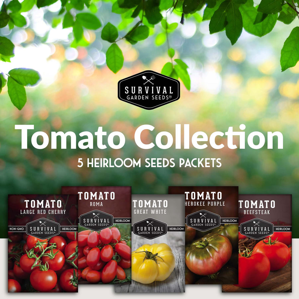 5 Tomato Seed Collection – Assorted Heirloom & Garden Favorites for Fr ...