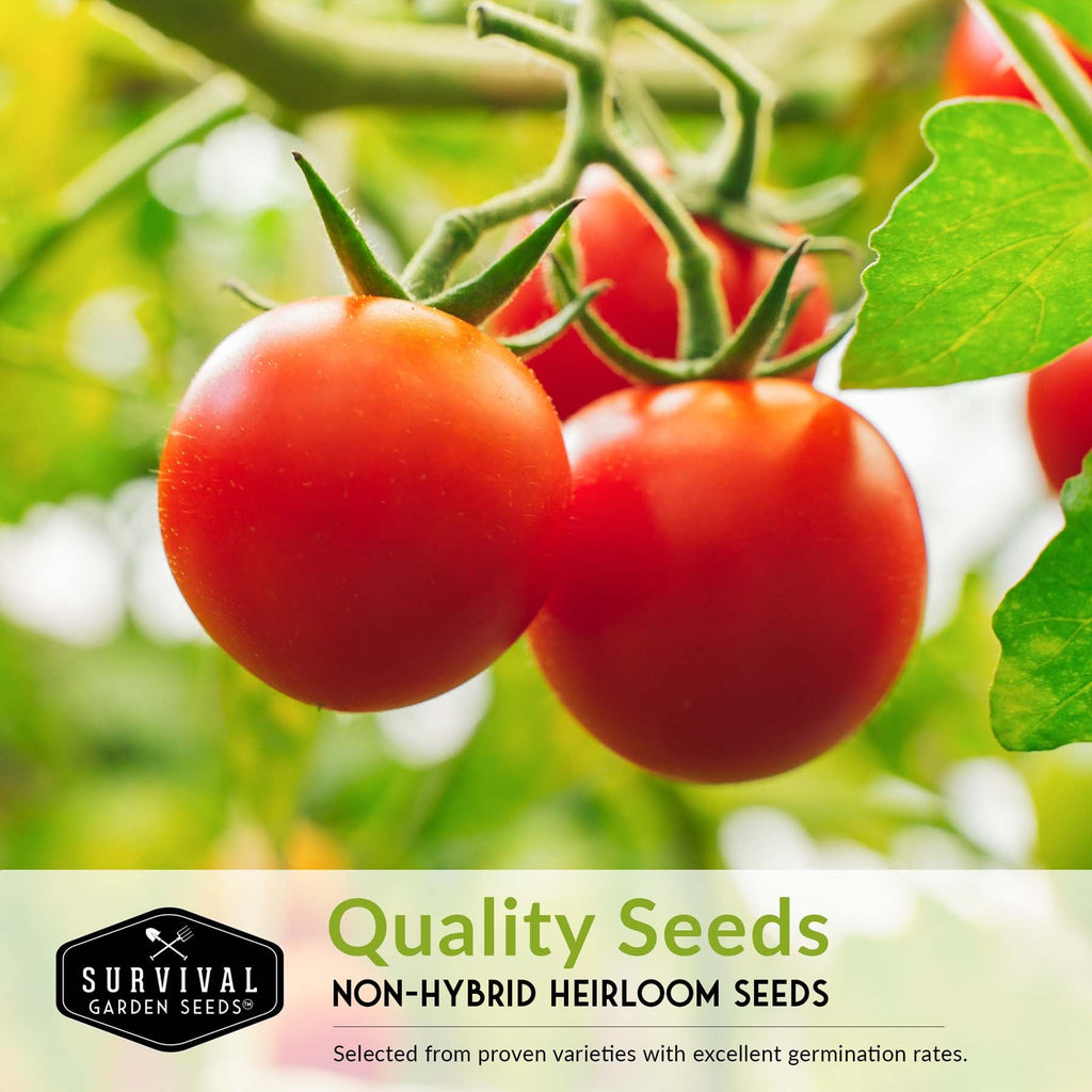 5 Tomato Seed Collection – Assorted Heirloom & Garden Favorites for Fr ...