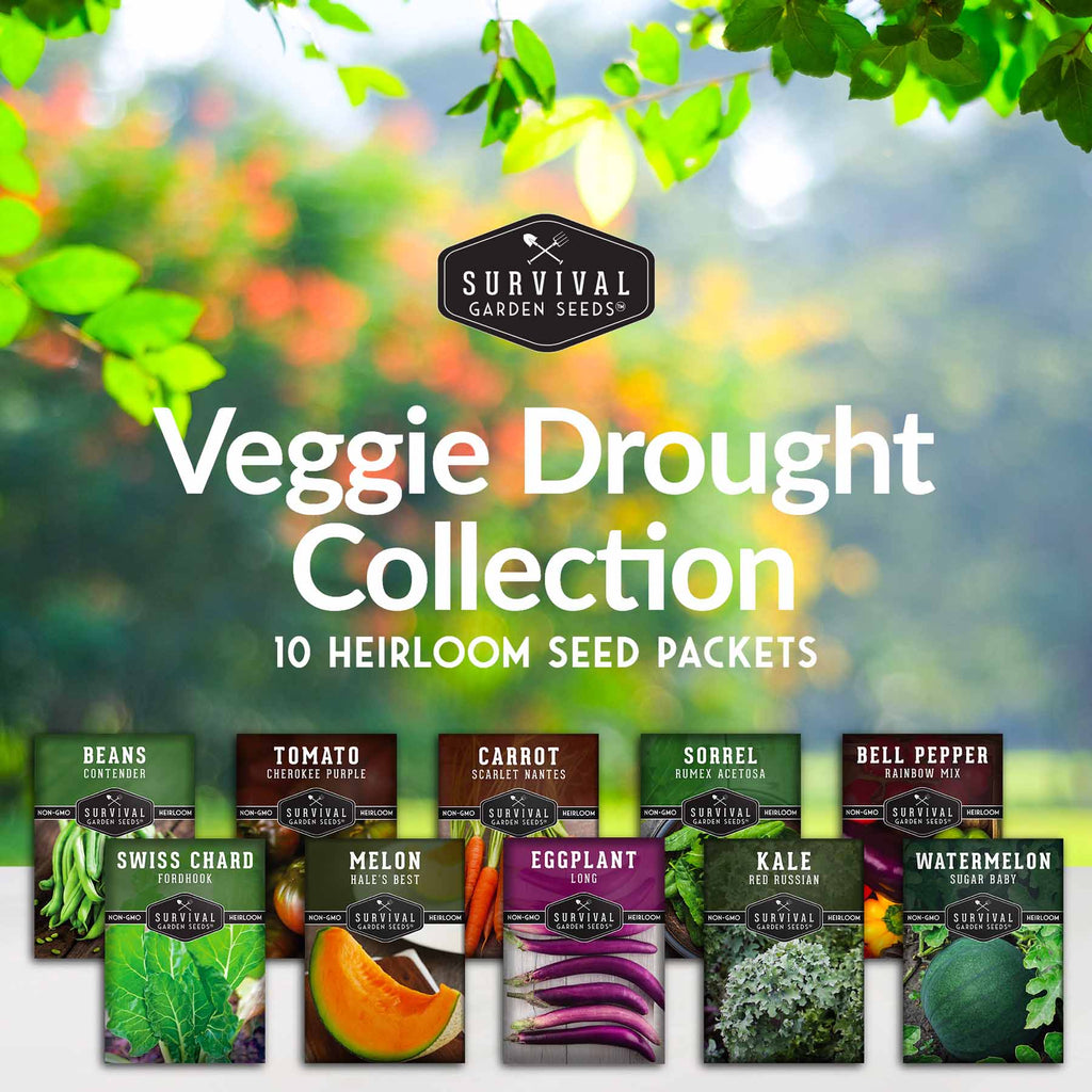 Drought-Tolerant Vegetable Seeds Variety Pack – 10 Heat-Resilient, Ful ...