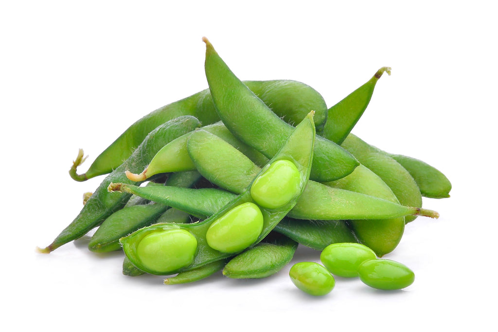 20 Buttery Edamame TOHYA SOYBEAN Pale Green Glycine Max Soy Bean Veget ...