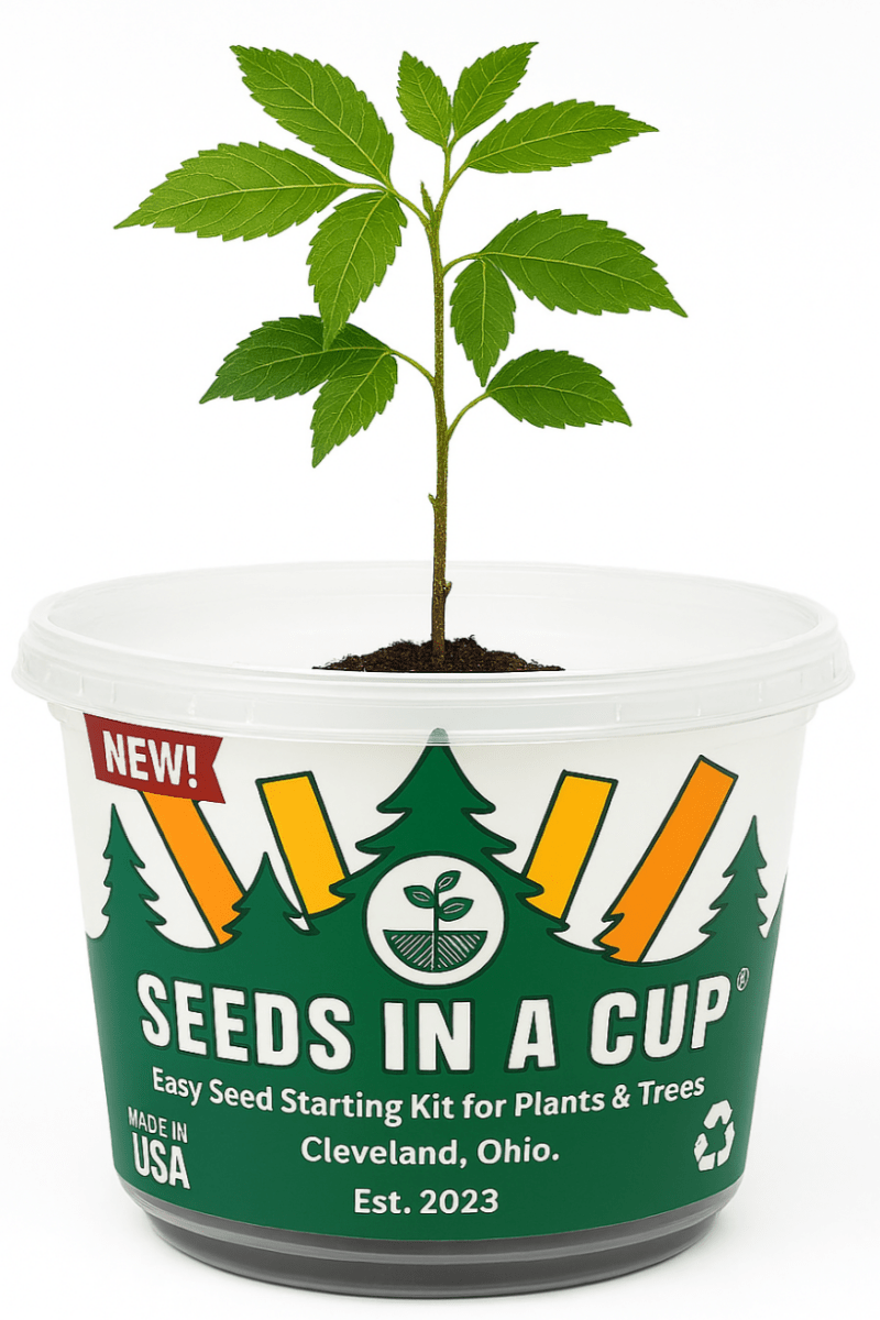 Green Bell Pepper Growing Kit - Pepper Seed Starter Kit – Shortcake Farms