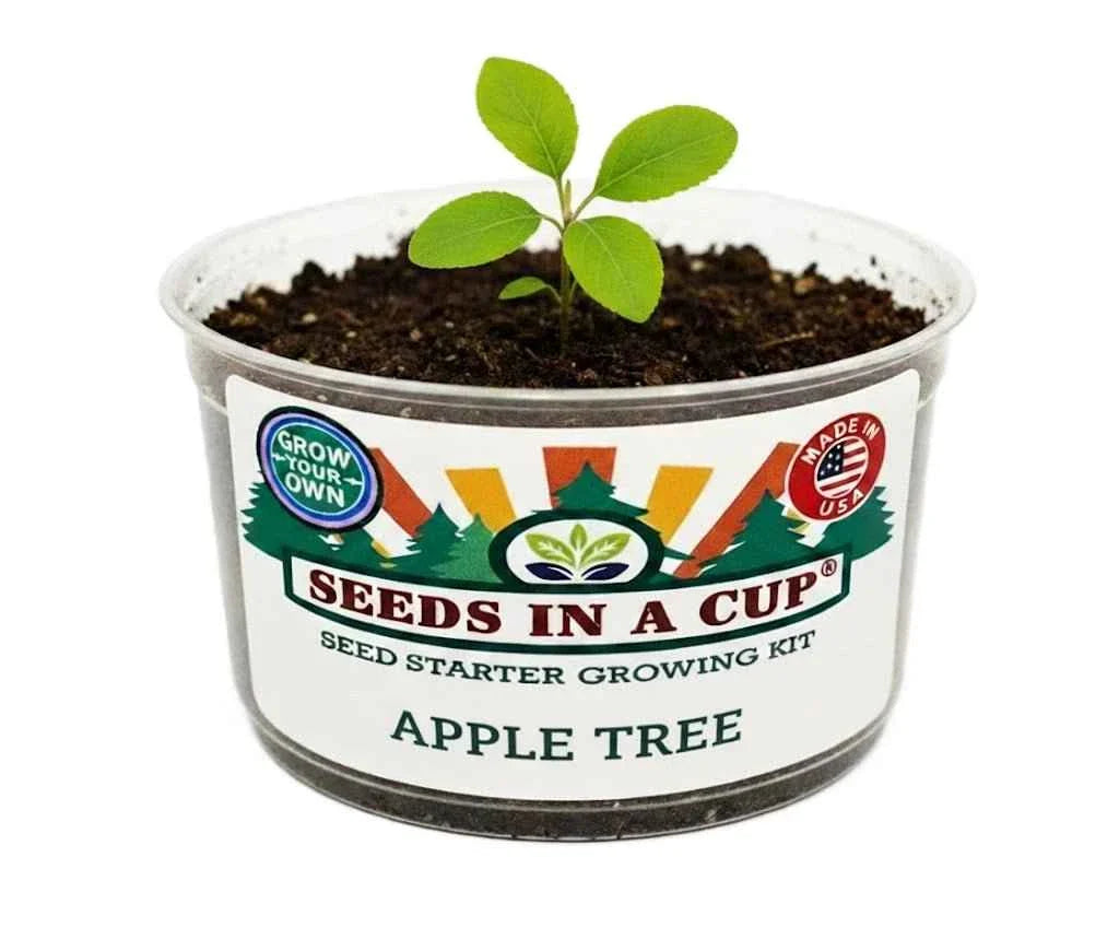 Apple Tree Growing Kit - Complete Fruit Tree Seed Starter Kit for Home ...